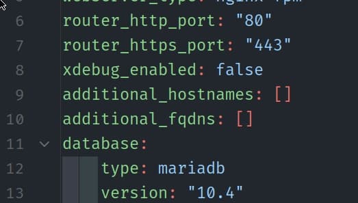 How to customize your DDEV installation - Debugging and additional parameters